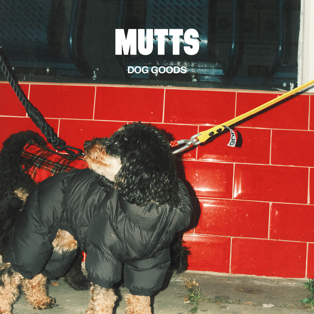 Curated Dog Goods Rooted in Care and Design – MUTTS Dog Goods